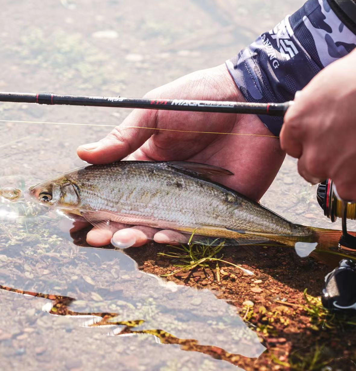 HANDING Official Store - Prodessional Fishing Gear & Tackle – HANDING ...